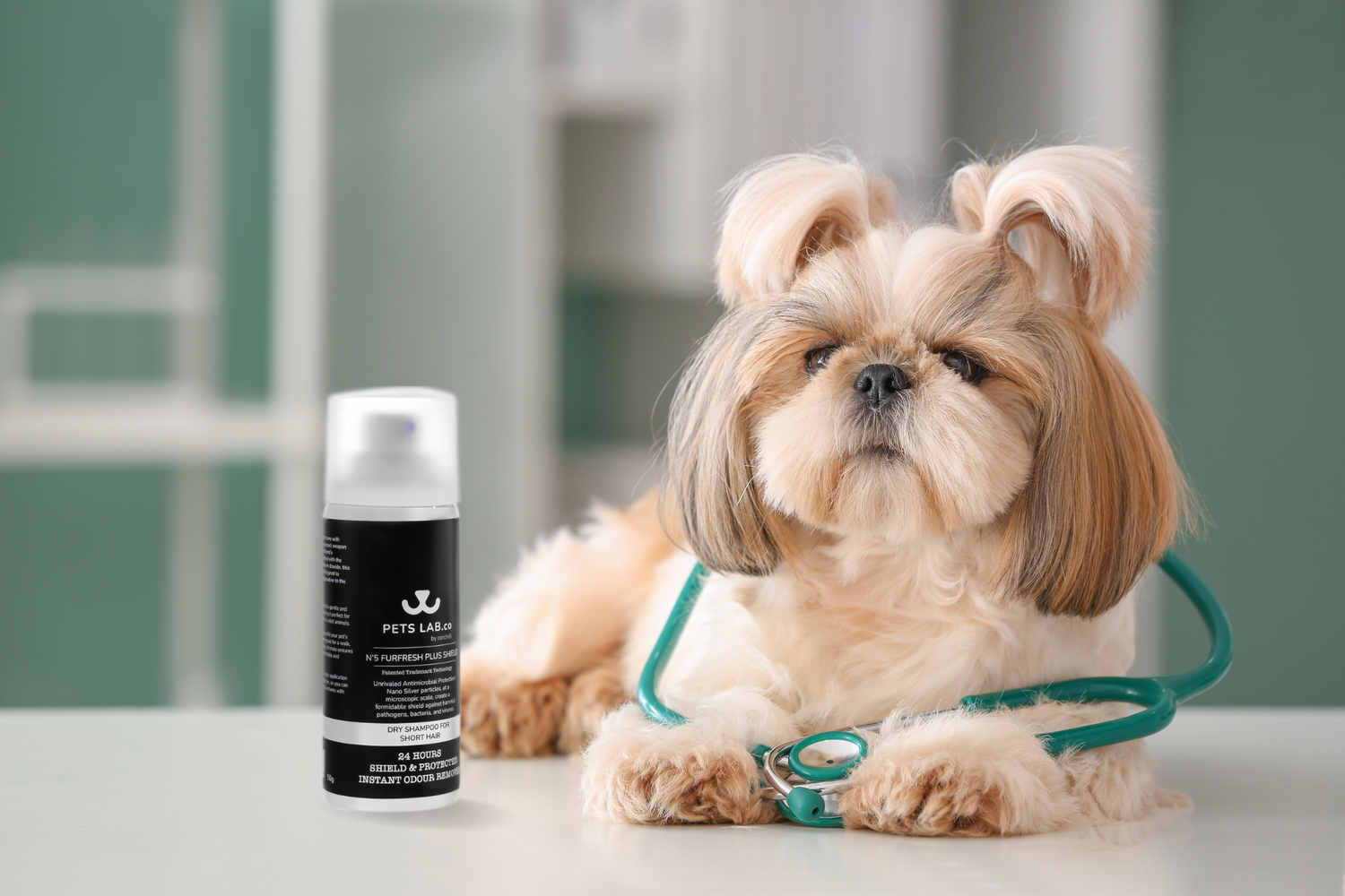 The Hygienic Benefits of Using Dry Shampoo for Pets. – Pets Lab.co